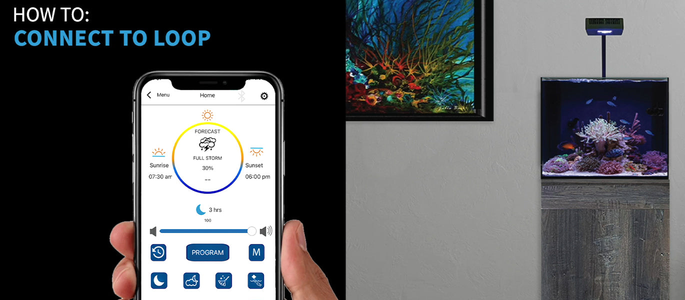 Current USA LOOP App Support