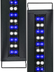 CURRENT USA: Innovative LED Lighting & Inspirational Aquariums ...