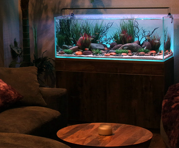 Serene Freshwater LED Aquarium Lights