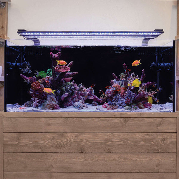 Orbit Dual Adjustable LED Light Arm Kit